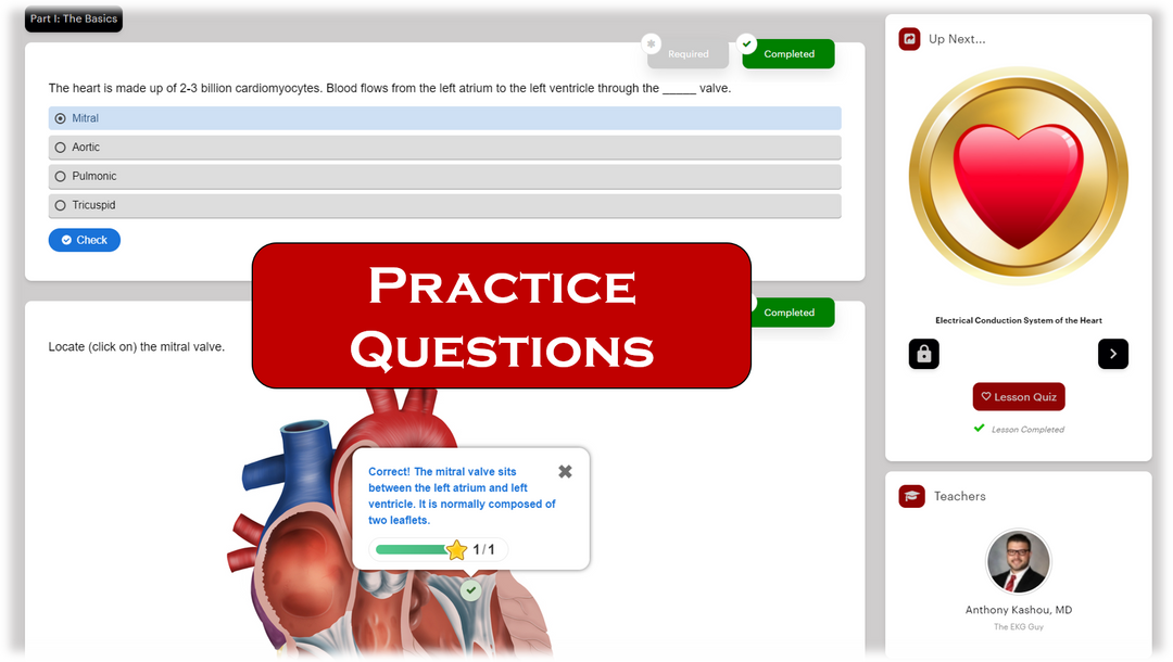 Online EKG Course – The EKG Guy